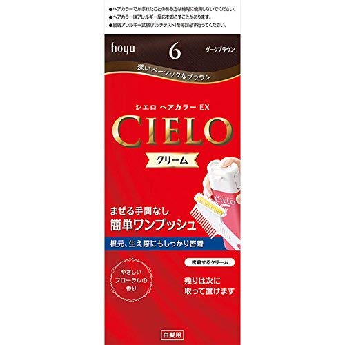 Hey Cielo Ex Cream 6 Hair Dye 80G by Hoyu
